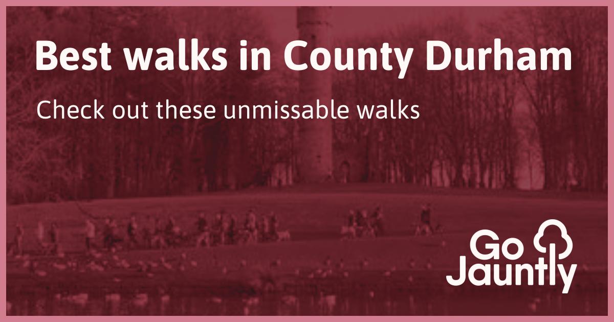 Best Walks in County Durham - Go Jauntly