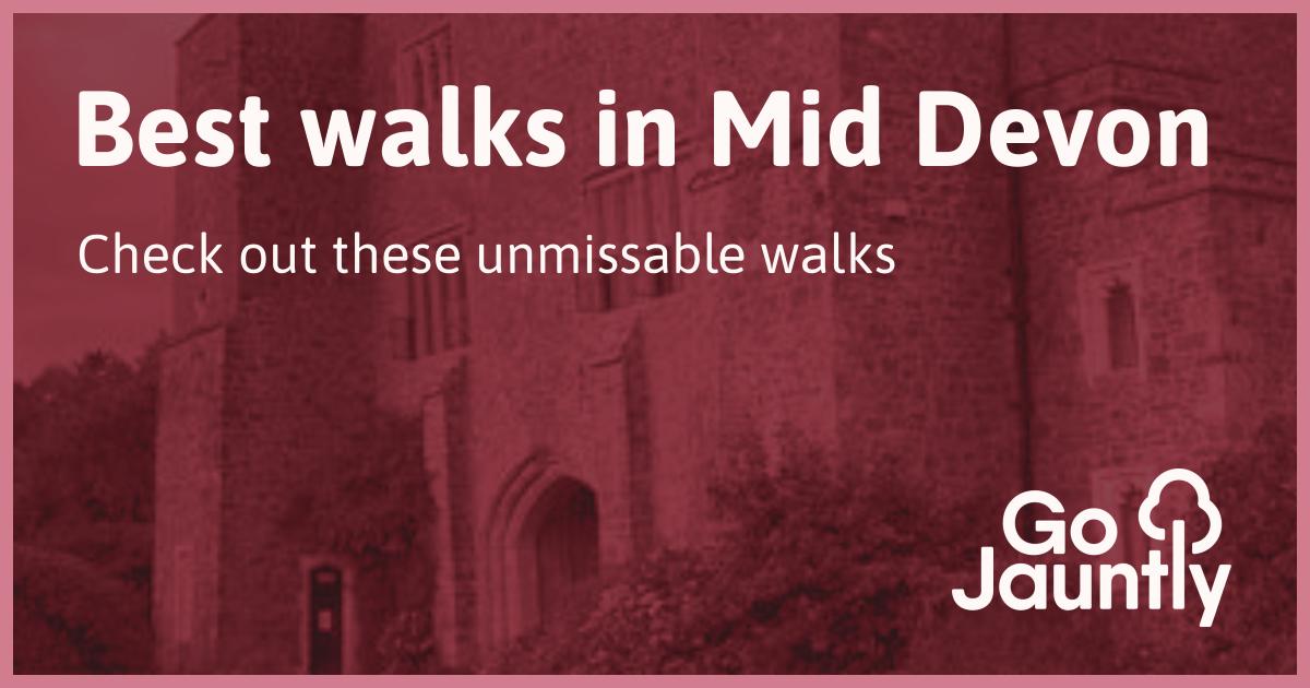 Best Walks in Mid Devon - Go Jauntly