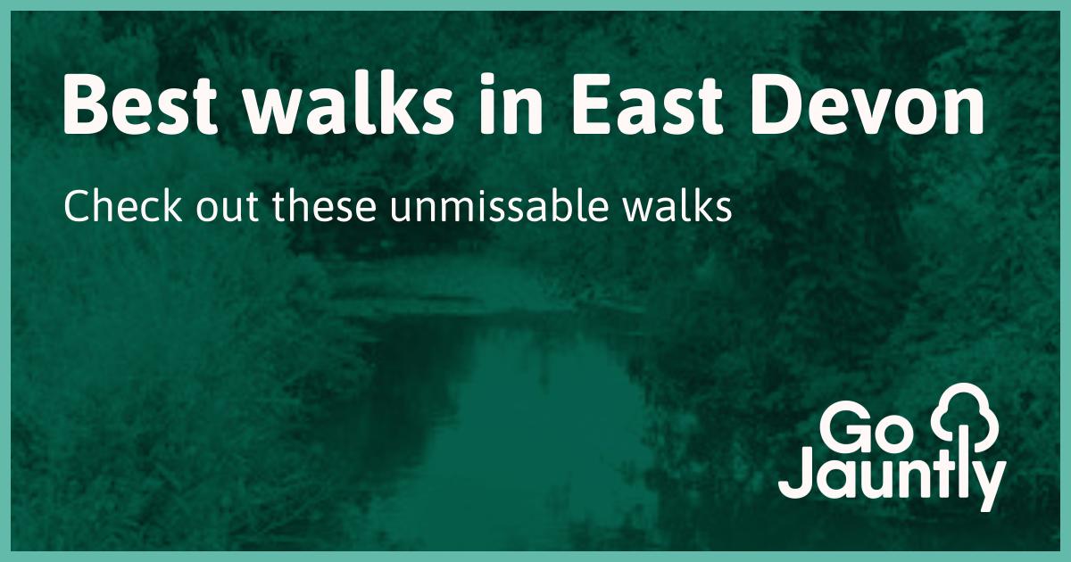 Best Walks in East Devon - Go Jauntly