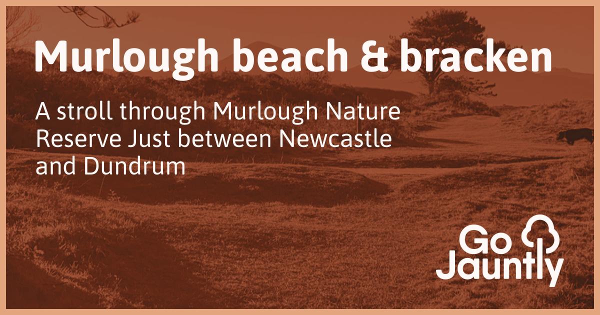 Murlough beach & bracken - Go Jauntly