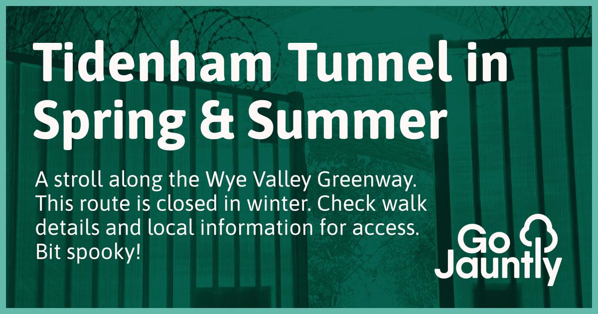 Tidenham Tunnel in Spring & Summer - Go Jauntly