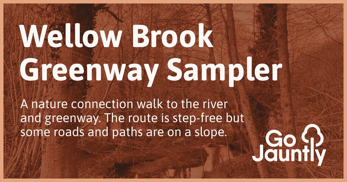 Wellow Brook Greenway Sampler - Go Jauntly