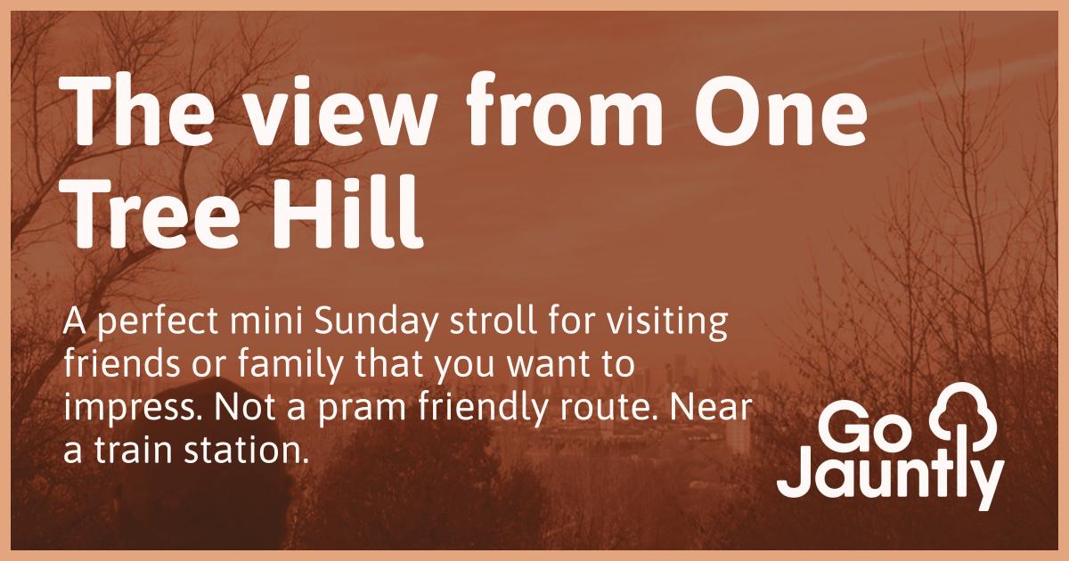 The view from One Tree Hill - Go Jauntly