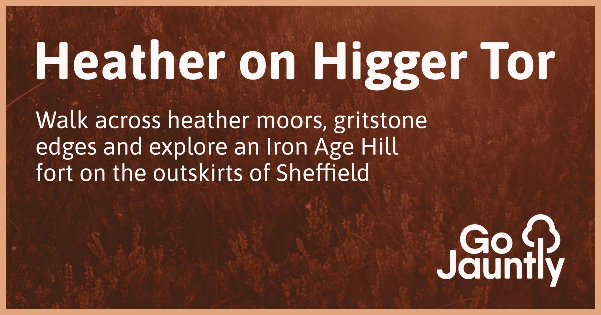 Heather on Higger Tor - Go Jauntly