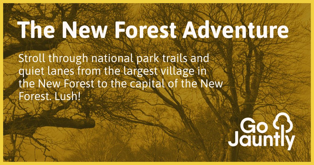 The New Forest Adventure - Go Jauntly
