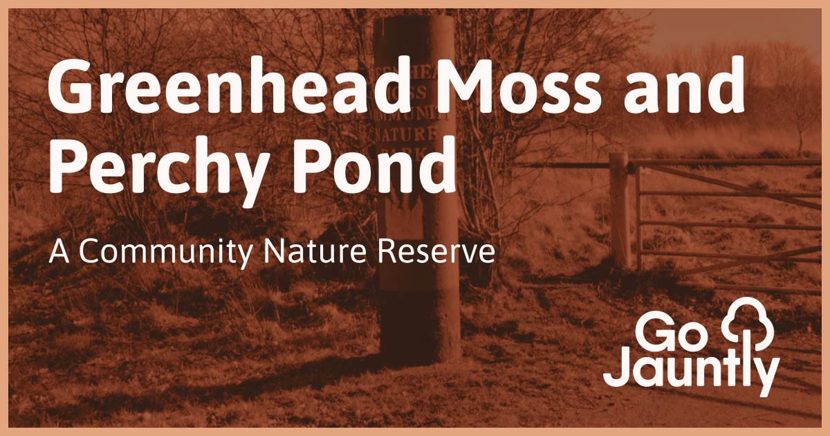 Greenhead Moss and Perchy Pond - Go Jauntly