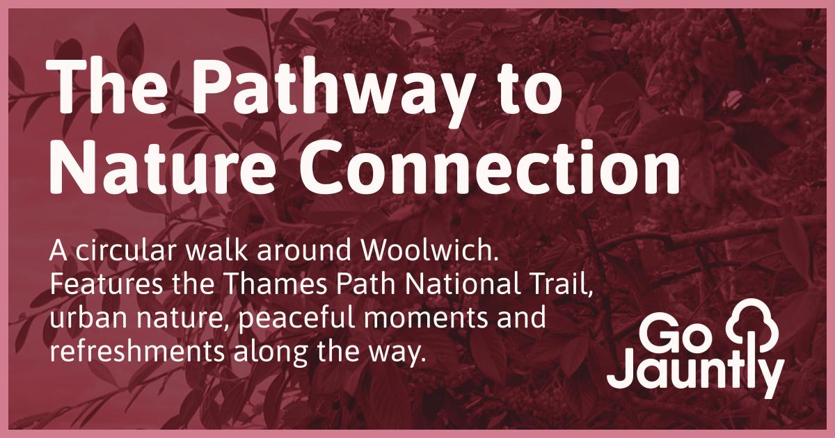 The Pathway to Nature Connection - Go Jauntly