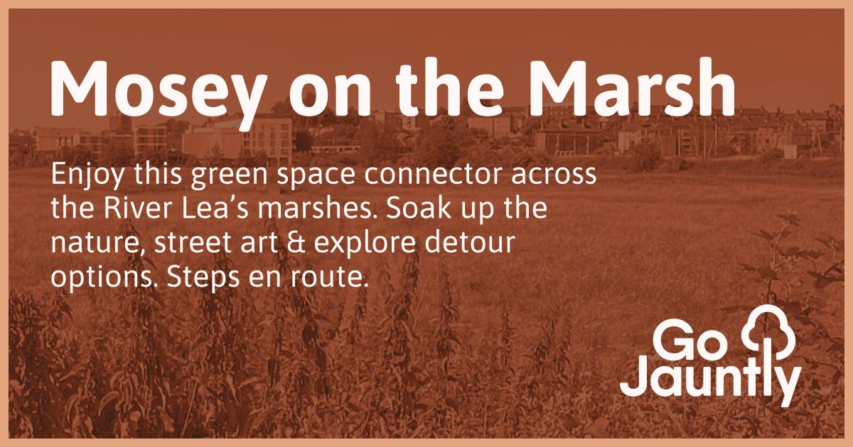 Mosey on the Marsh - Go Jauntly