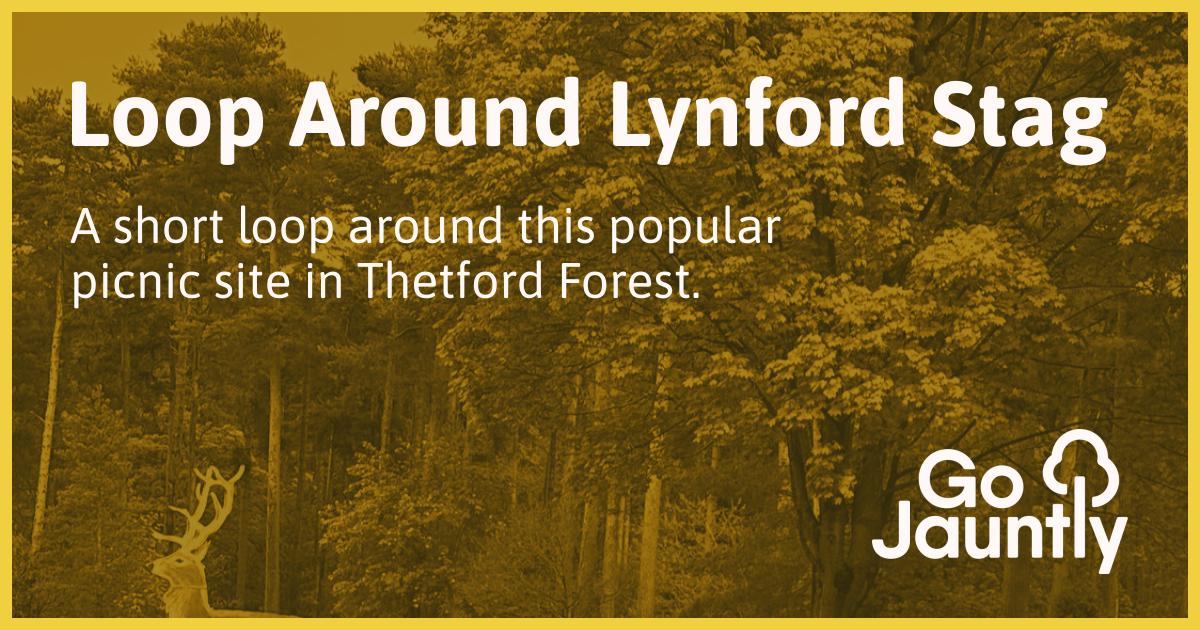 Loop Around Lynford Stag - Go Jauntly