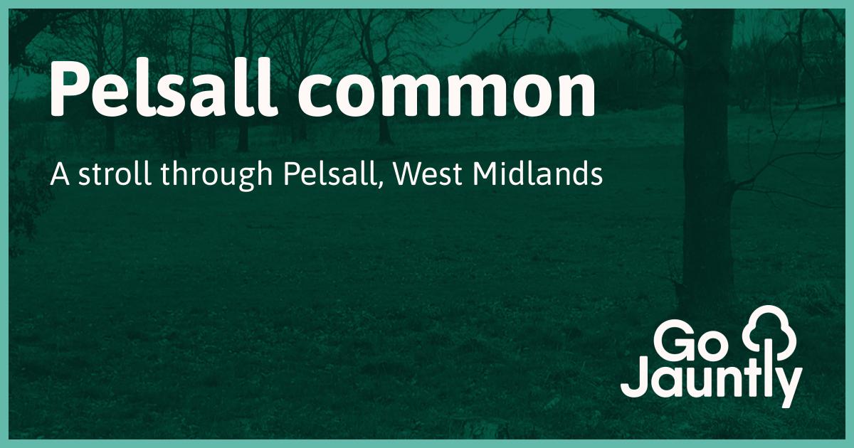 Pelsall common - Go Jauntly