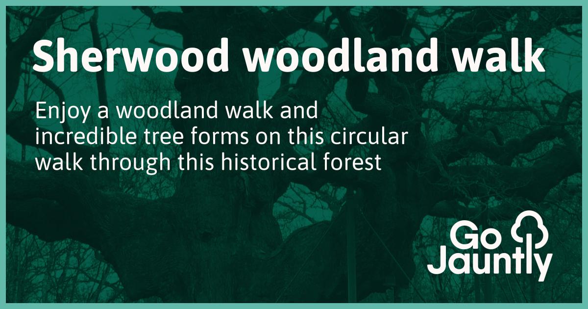 Sherwood woodland walk - Go Jauntly