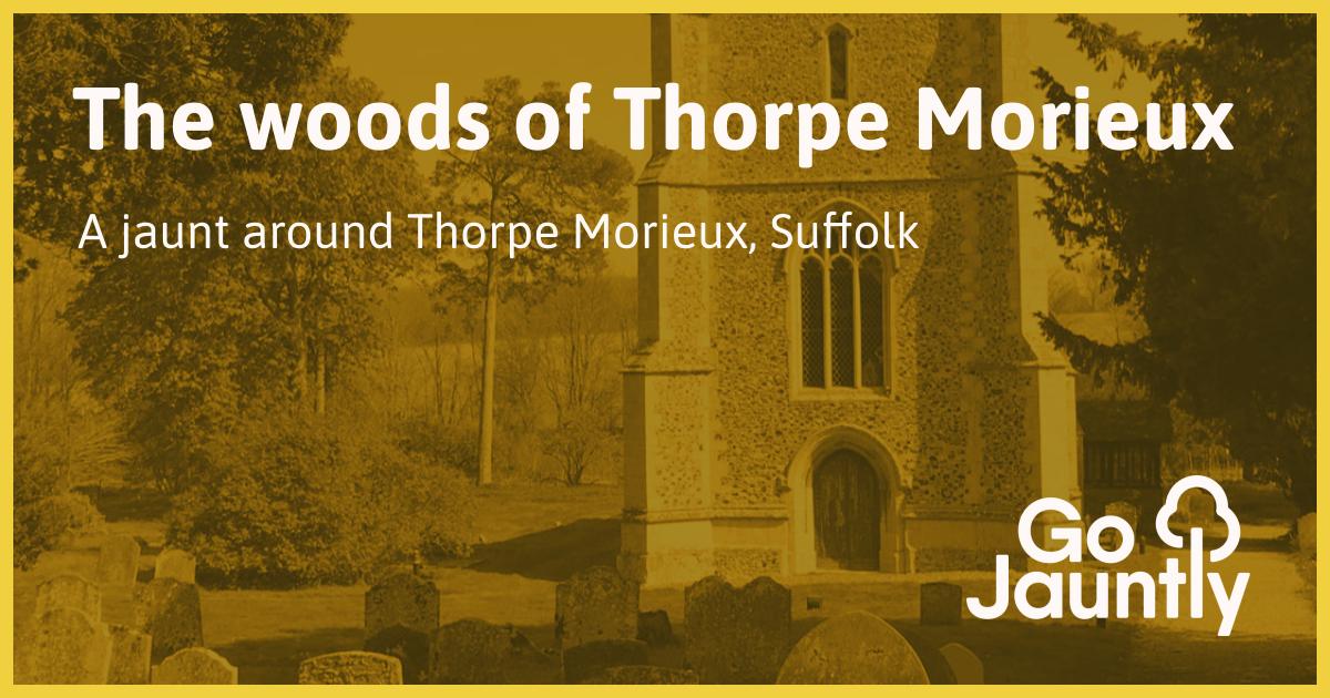 The woods of Thorpe Morieux - Go Jauntly