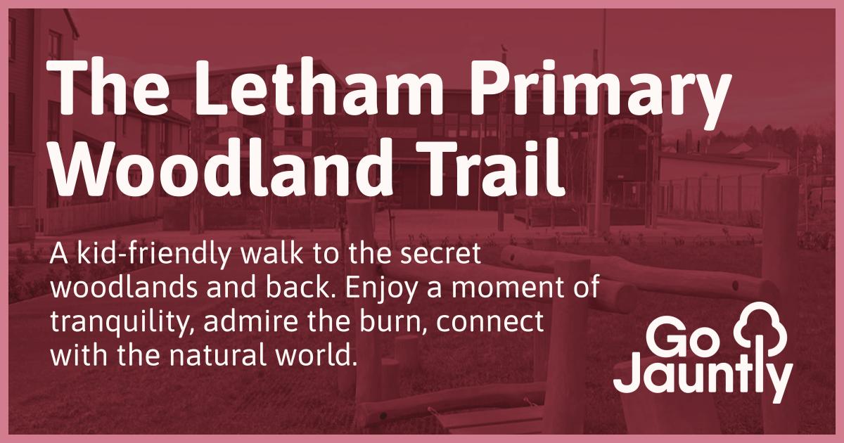 The Letham Primary Woodland Trail - Go Jauntly