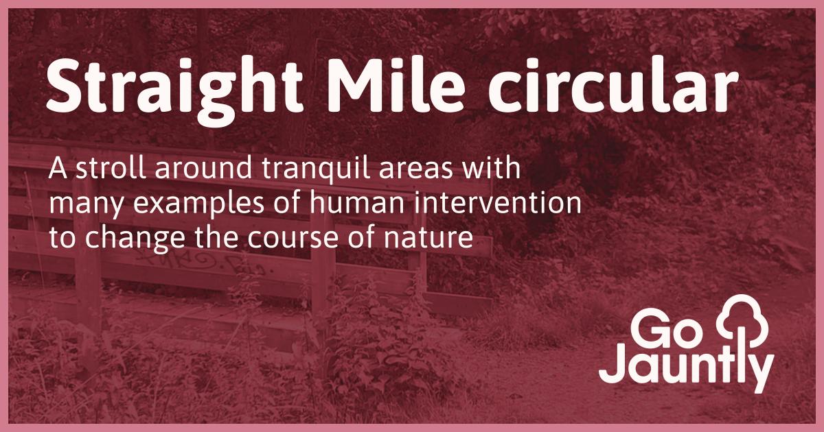 Straight Mile circular - Go Jauntly