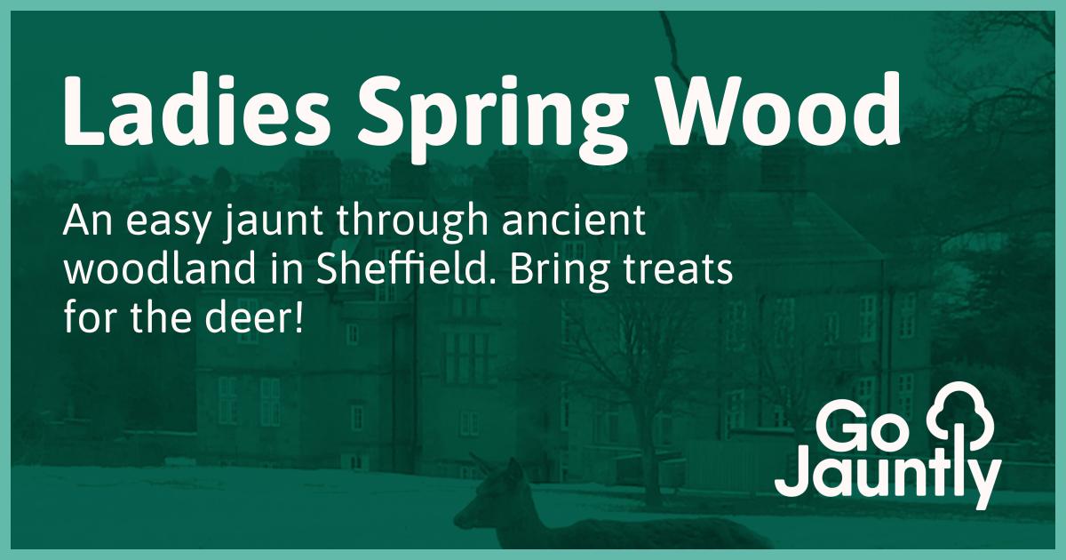 Ladies Spring Wood - Go Jauntly