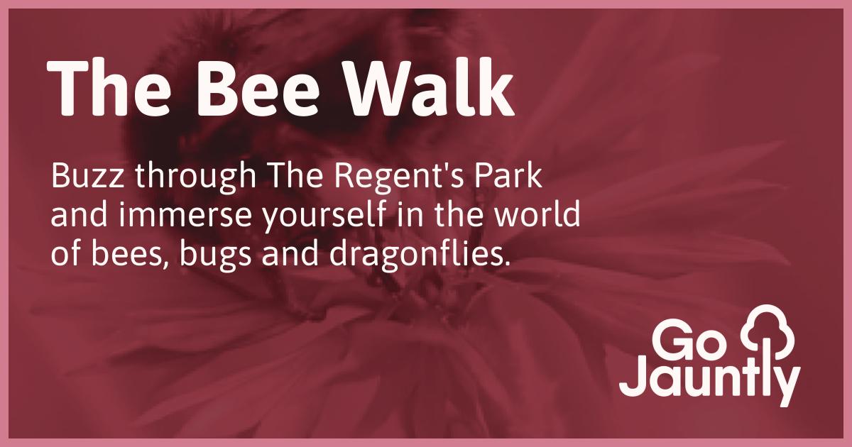 The Bee Walk - Go Jauntly