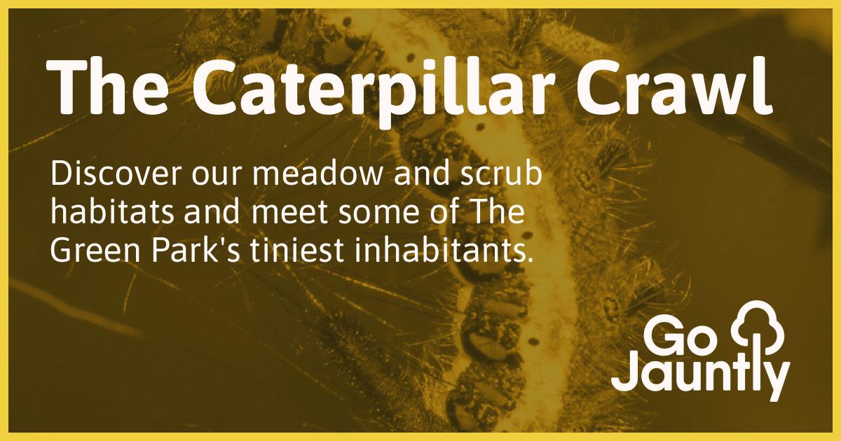 The Caterpillar Crawl - Go Jauntly