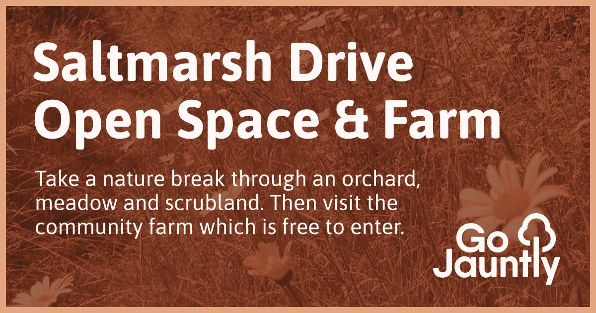 Saltmarsh Drive Open Space & Farm - Go Jauntly