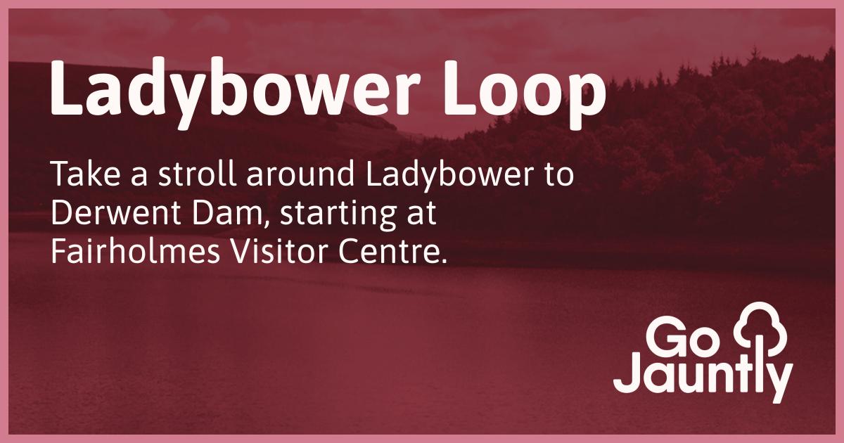 Ladybower Loop - Go Jauntly