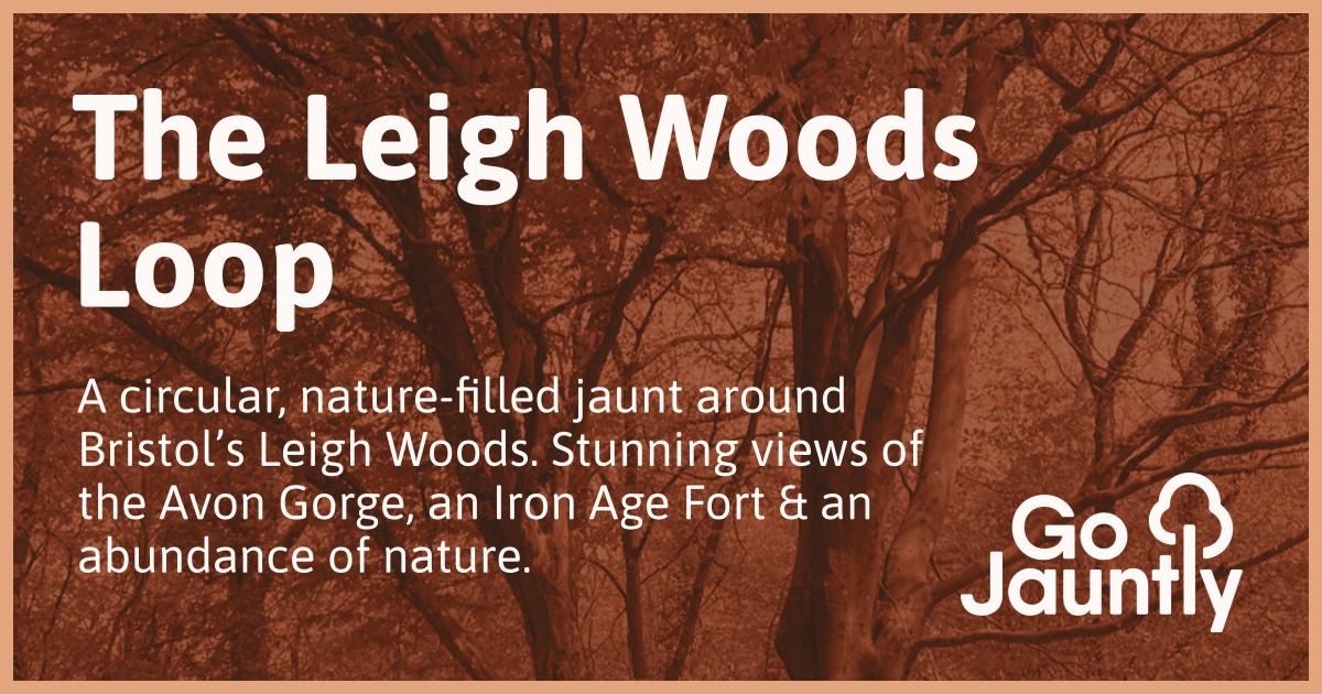 The Leigh Woods Loop - Go Jauntly