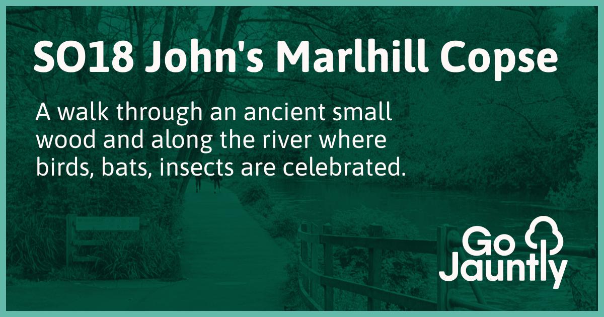 SO18 John's Marlhill Copse - Go Jauntly