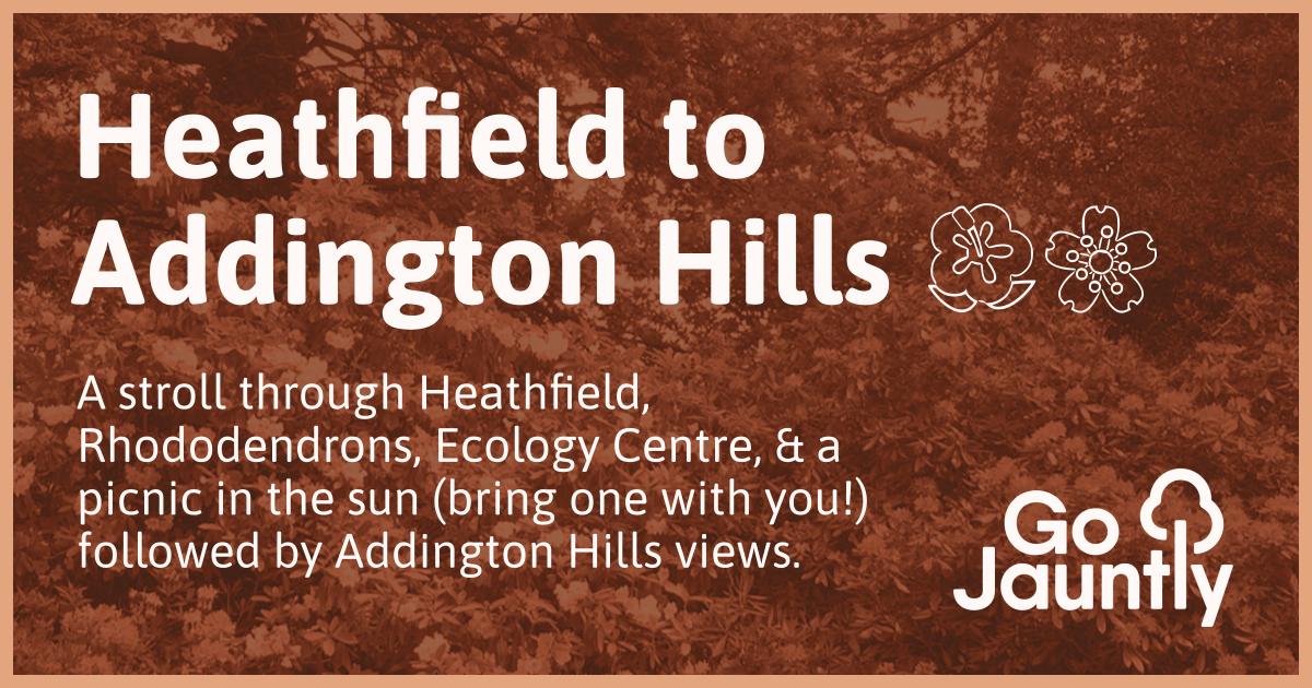 Heathfield to Addington Hills 🌺🌸 - Go Jauntly