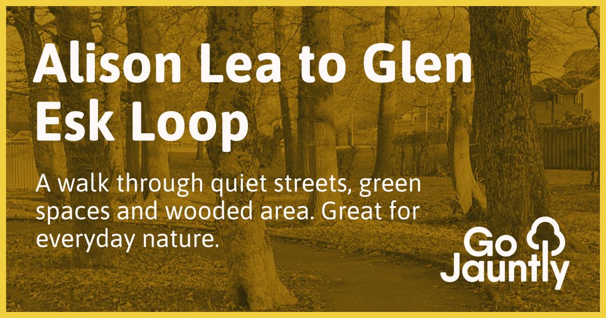 Alison Lea to Glen Esk Loop - Go Jauntly