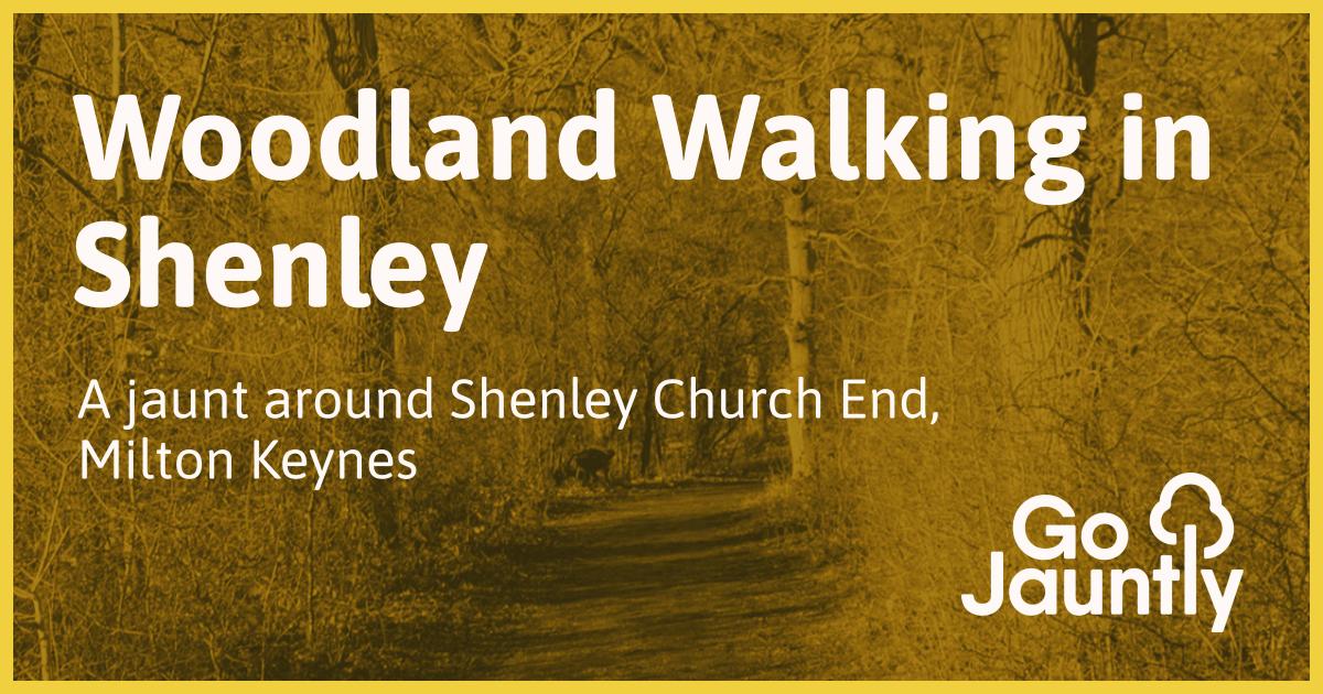 Woodland Walking in Shenley - Go Jauntly