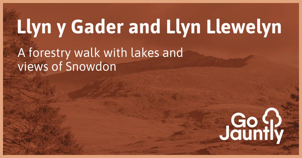 Llyn y Gader and Llyn Llewelyn - Go Jauntly