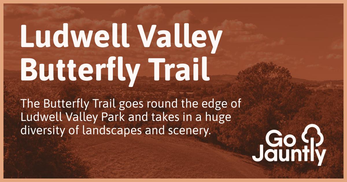 Ludwell Valley Butterfly Trail - Go Jauntly