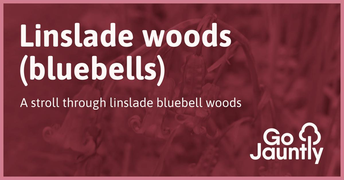Linslade woods (bluebells) - Go Jauntly