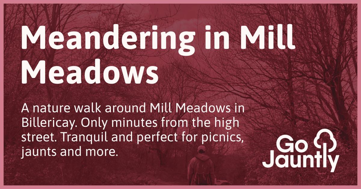 Meandering in Mill Meadows - Go Jauntly