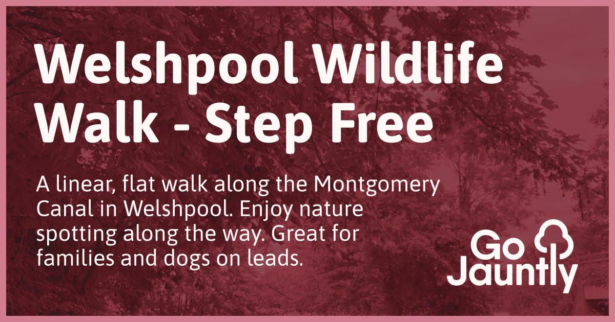 Welshpool Wildlife Walk - Step Free - Go Jauntly