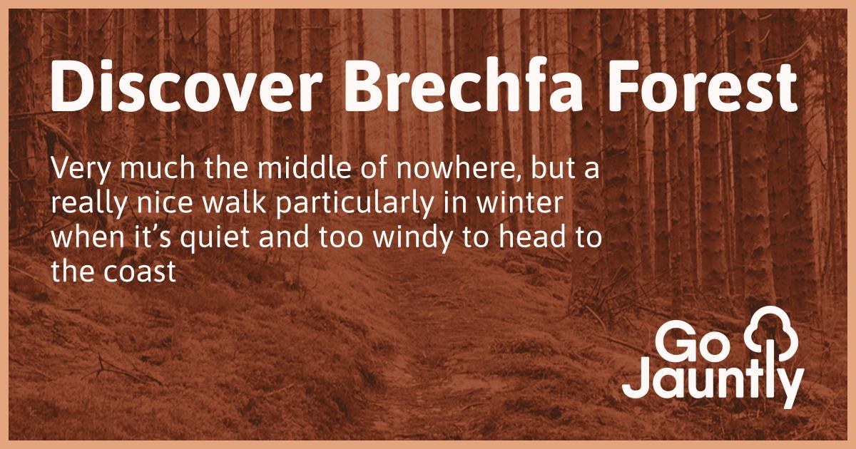 Discover Brechfa Forest - Go Jauntly
