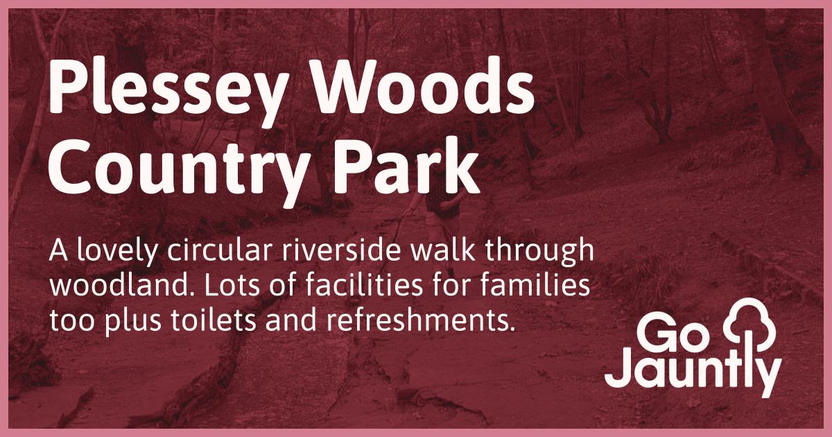 Plessey Woods Country Park - Go Jauntly