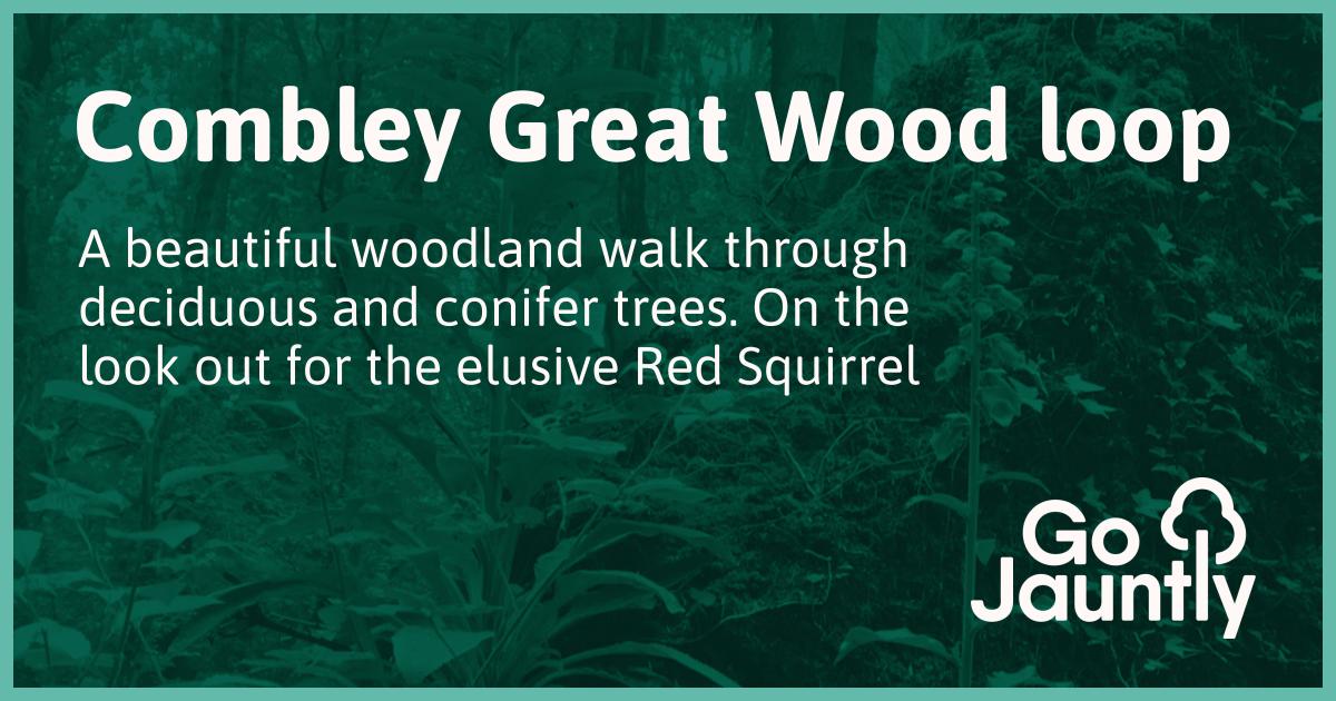 Combley Great Wood loop - Go Jauntly