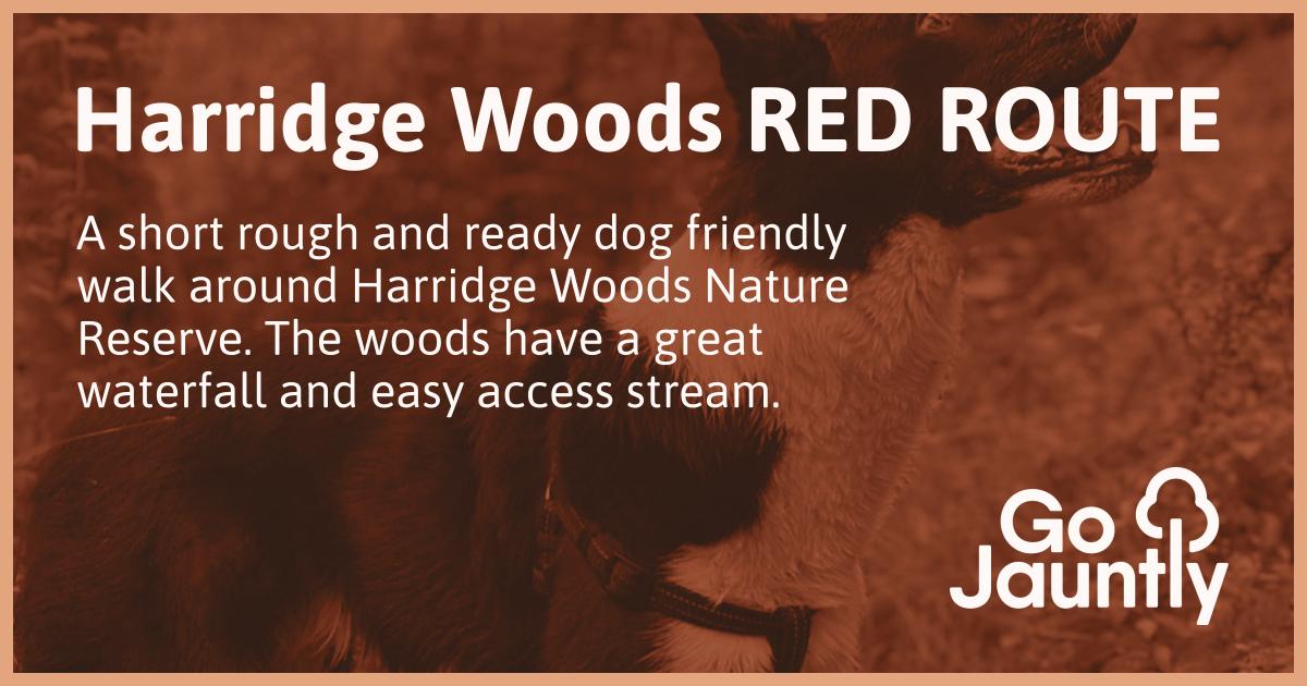 Harridge Woods RED ROUTE - Go Jauntly