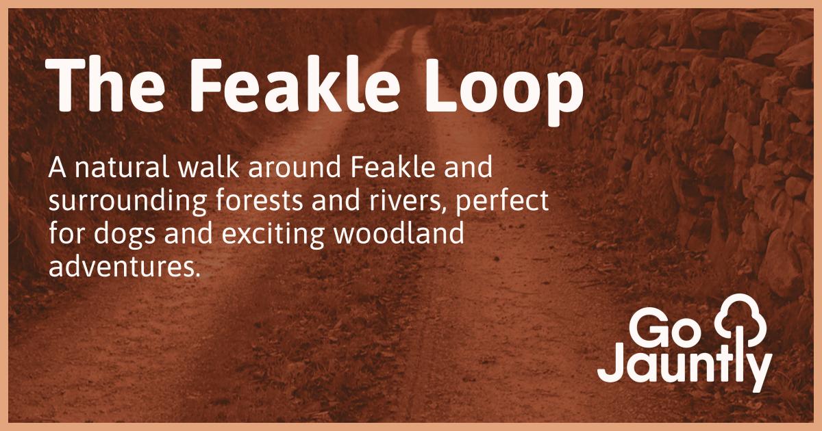 The Feakle Loop - Go Jauntly