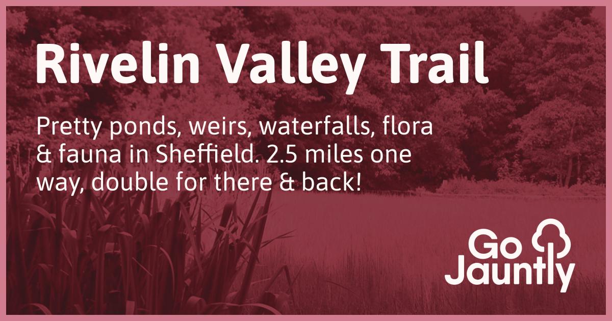 Rivelin Valley Trail - Go Jauntly