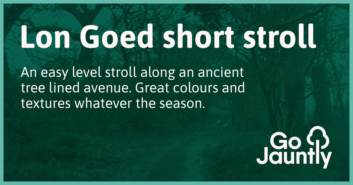 Lon Goed short stroll - Go Jauntly