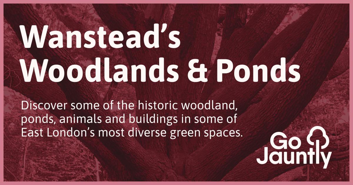 Wanstead’s Woodlands & Ponds - Go Jauntly