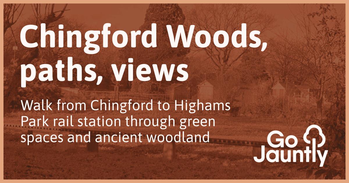 Chingford Woods, paths, views - Go Jauntly