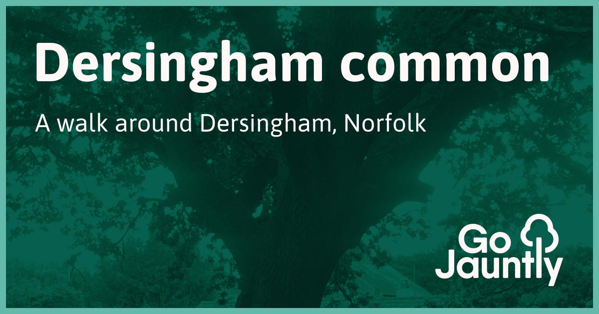 Dersingham common - Go Jauntly
