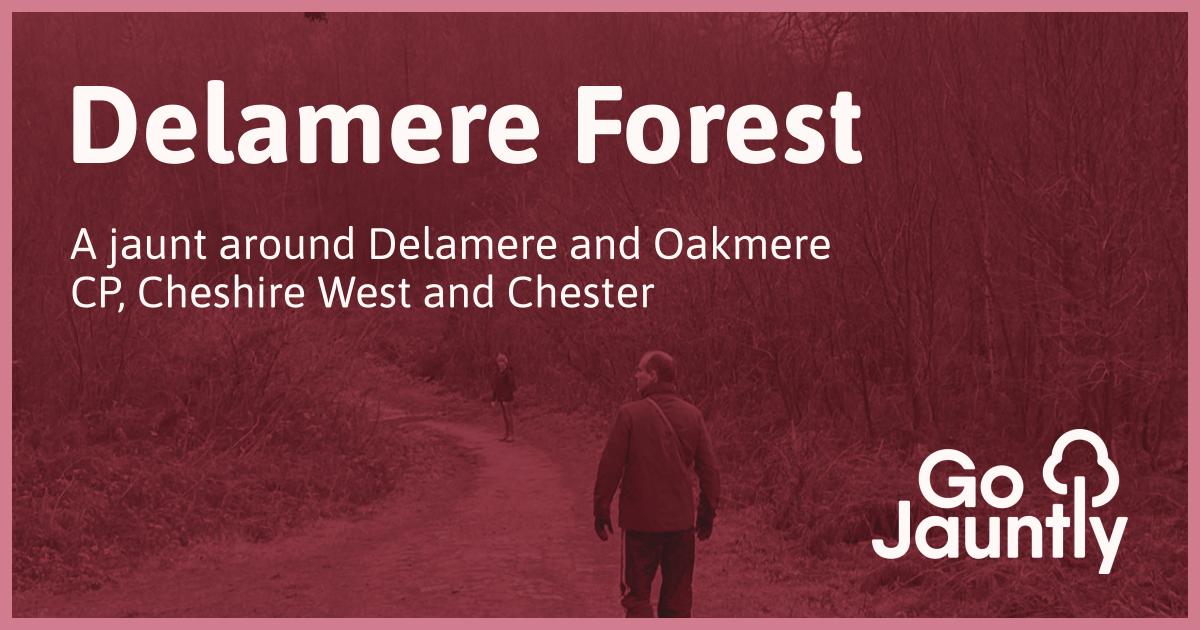 Delamere Forest - Go Jauntly