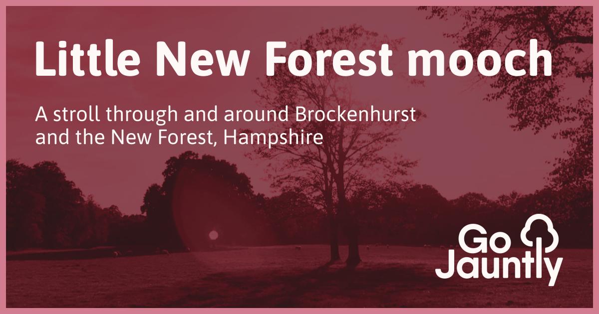 Little New Forest mooch - Go Jauntly