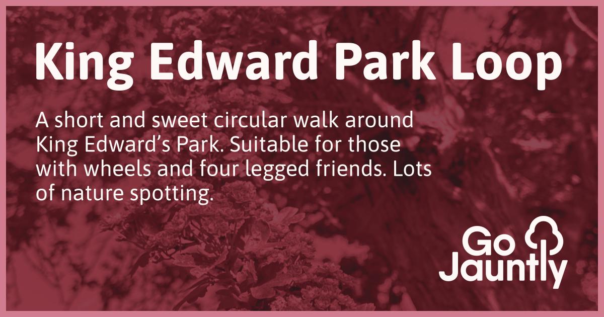 King Edward Park Loop - Go Jauntly