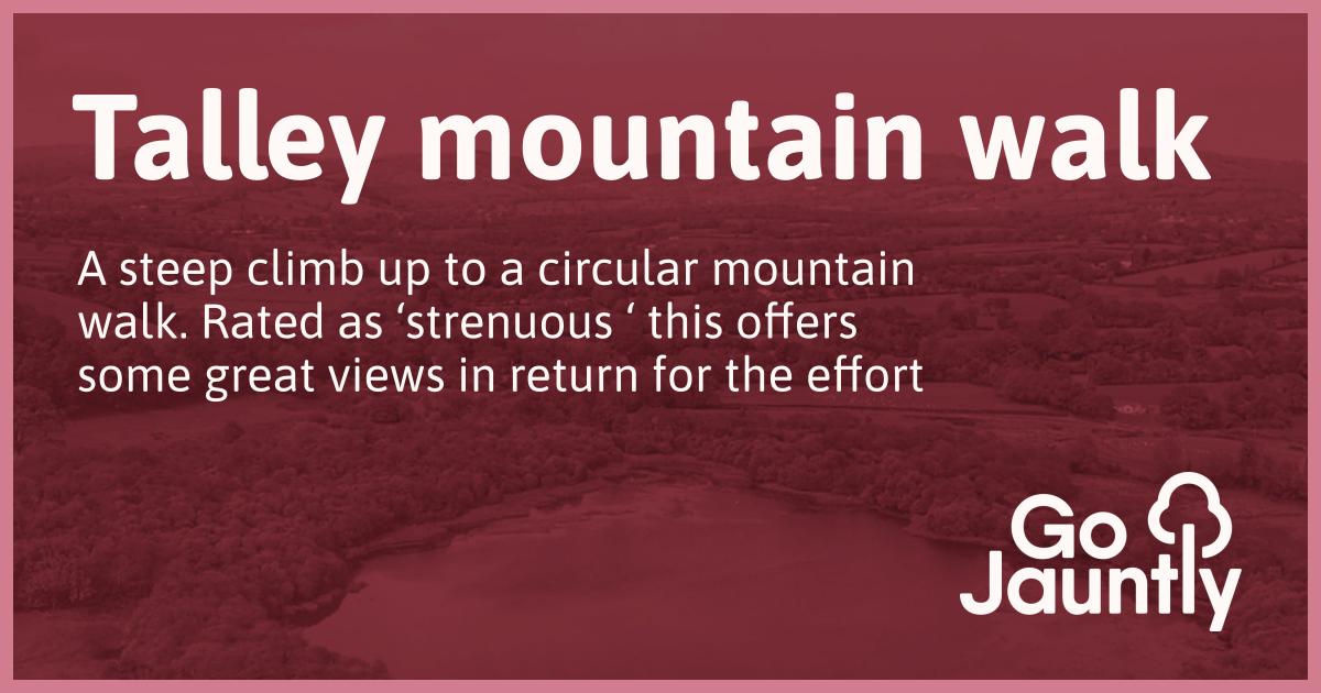 Talley mountain walk - Go Jauntly