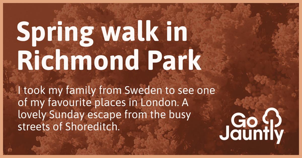Spring walk in Richmond Park - Go Jauntly