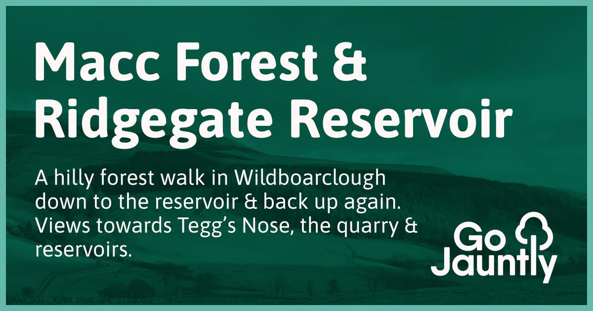 Macc Forest & Ridgegate Reservoir - Go Jauntly