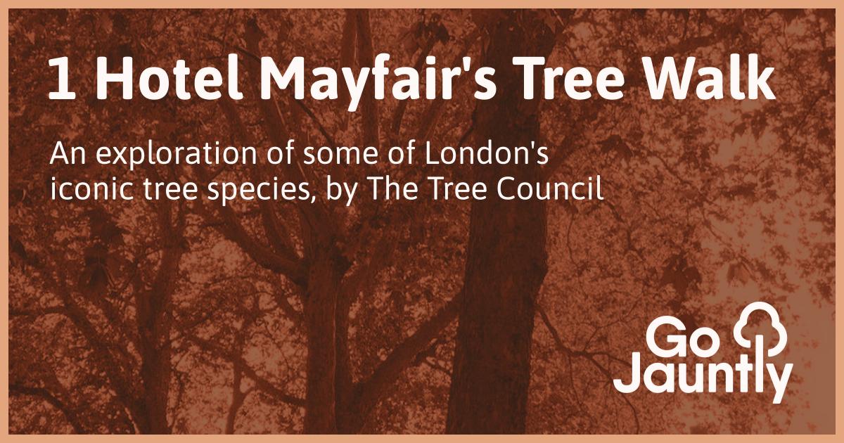 1 Hotel Mayfair's Tree Walk - Go Jauntly